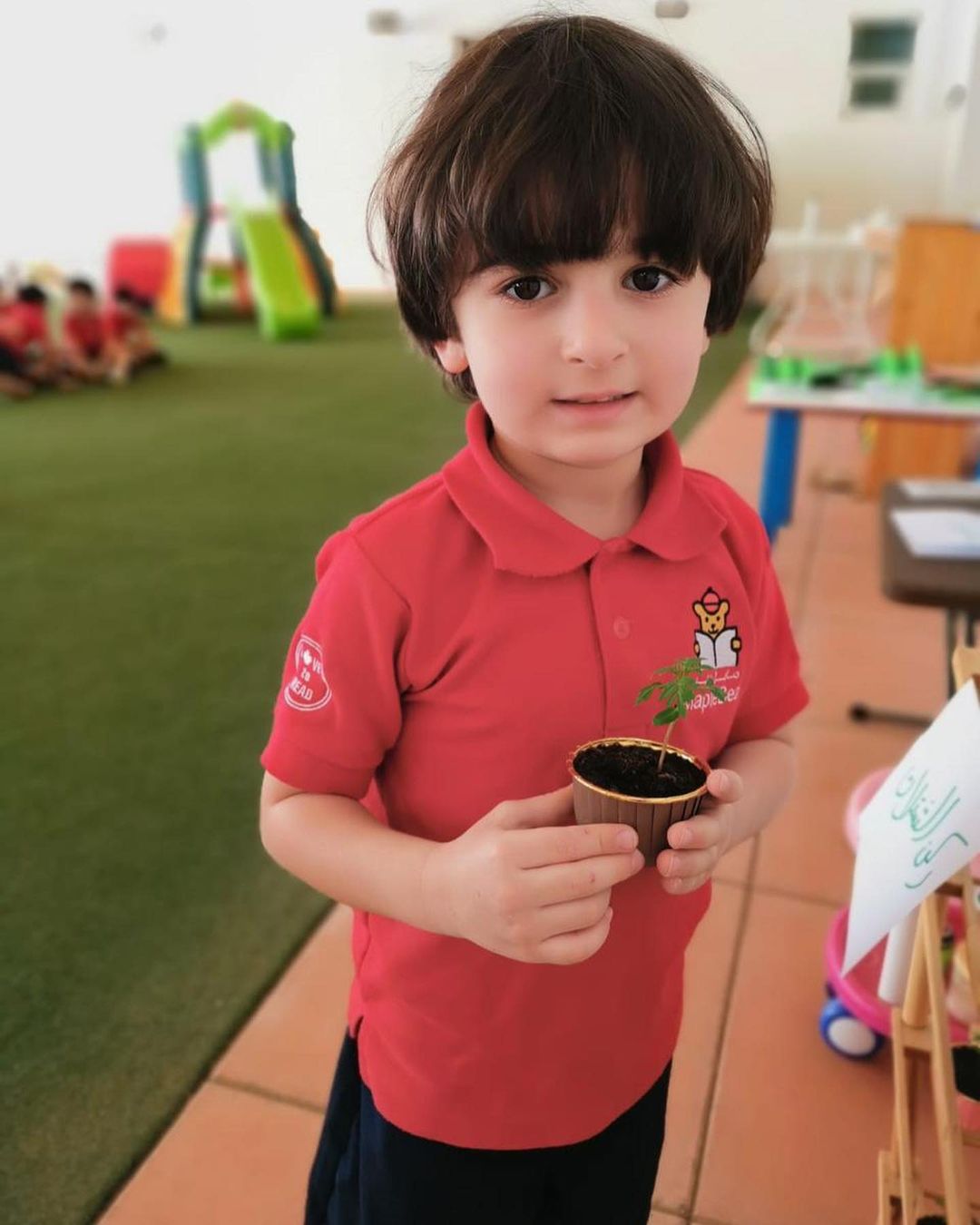 Maple Bear Global Schools – The best of Canadian education for a global ...